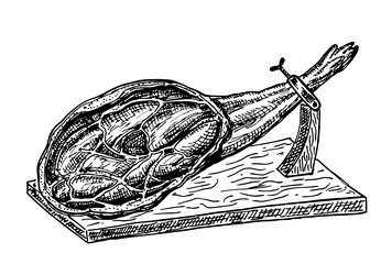 Jamon sketch spanish hand Royalty Free Vector Image