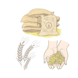 Palm Kernel Vector Images (over 110)