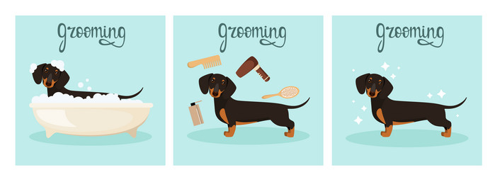Grooming Royalty Free Vector Image - VectorStock