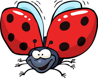 Cartoon ladybug flying isolated on white Vector Image