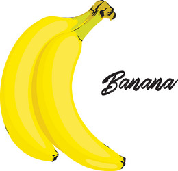 Single banana cartoon isolated Royalty Free Vector Image
