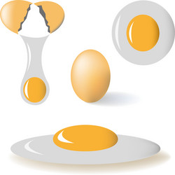 Fresh chicken eggs Royalty Free Vector Image - VectorStock