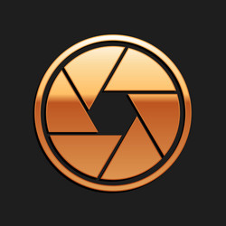 Gold Camera Shutter Vector Images (over 430)