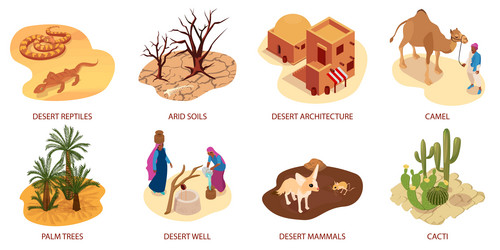 Desert isometric infographics Royalty Free Vector Image