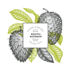 Soursop pattern Royalty Free Vector Image - VectorStock