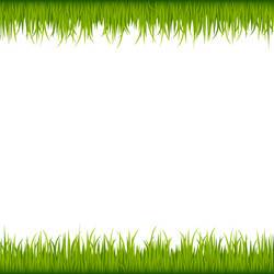 Grass frame borders Royalty Free Vector Image - VectorStock