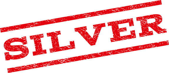 Silver watermark stamp Royalty Free Vector Image