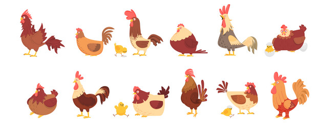 Cute cartoon chicken set Royalty Free Vector Image