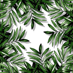Green tree pattern template Royalty Free Vector Image