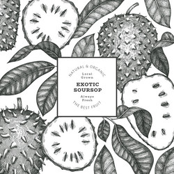 Soursop set Royalty Free Vector Image - VectorStock