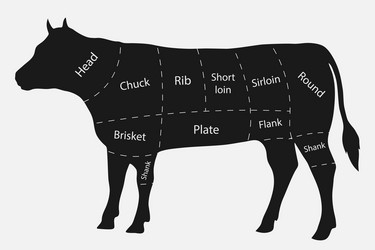 Beef cuts diagram and butchery design elements Vector Image