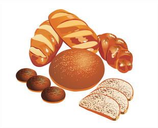 Braided bread with poppy seeds isolated Royalty Free Vector