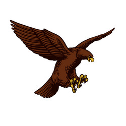 Bald eagle flying in hand drawn style Royalty Free Vector