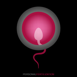 Human fertilization 2 black and white Royalty Free Vector