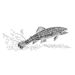 Brown Trout Vector Images (over 160)