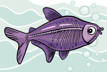 Fish Xray Cute Vector Images (63)