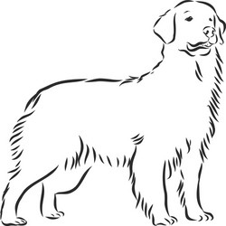 Decorative portrait standing in profile dog Vector Image