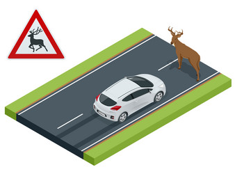 Roadkill Vector Images (48)