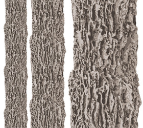 Seamless pattern of wood bark or stone Royalty Free Vector