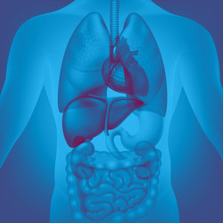 Internal Vector Images (over 410,000)