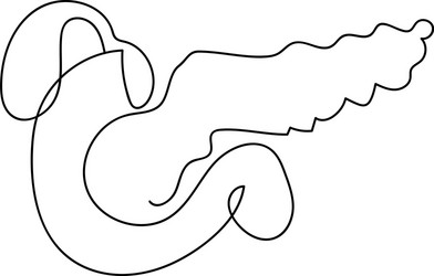 Pancreas Silhouette Vector Images (over 590)