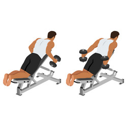Man doing dumbbell bent over reverse flyes Vector Image