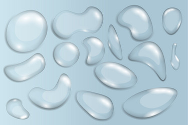 Realistic water drops bubbles rain water foam Vector Image