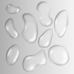 Realistic water drops bubbles rain water foam Vector Image