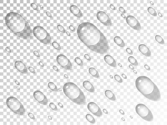 Rain on transparent background falling water Vector Image