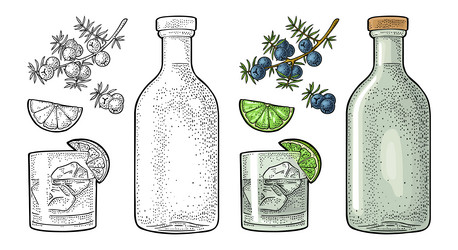 Green Gin Glass Vector Images (over 580)