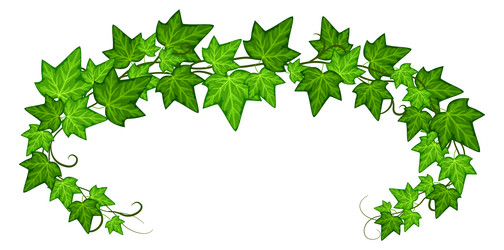 Creeper Plant Vector Images (over 2,100)