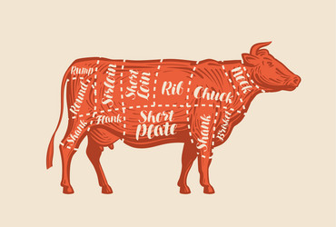 Beef Cut Vector Images (over 15,000)