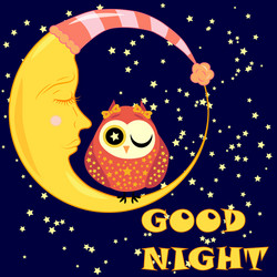 Good night print with super cute foxes Royalty Free Vector