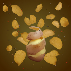 Realistic potato chips Royalty Free Vector Image