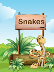 Two Snakes Vector Images (over 730)