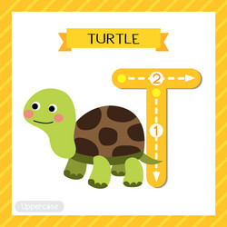 Turtle Flashcard Vector Images (91)