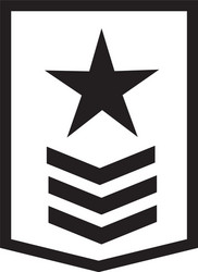 First sergeant 1sg soldier military rank insignia Vector Image