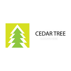 Cedar tree logo Royalty Free Vector Image - VectorStock