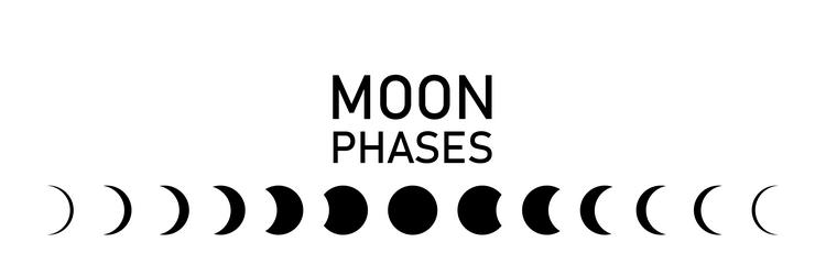 Moon phases icon phases the whole cycle from Vector Image