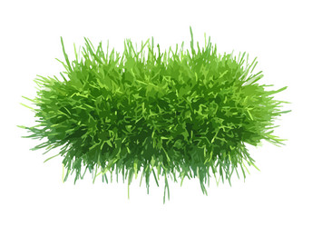 Tufting Vector Images (over 1,300)