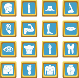 Parts Body Groin Vector Images (98)