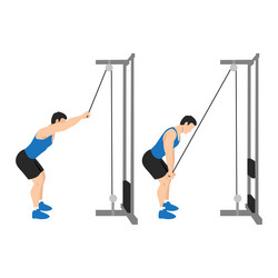 Man doing cable triceps kickbacks exercise Vector Image