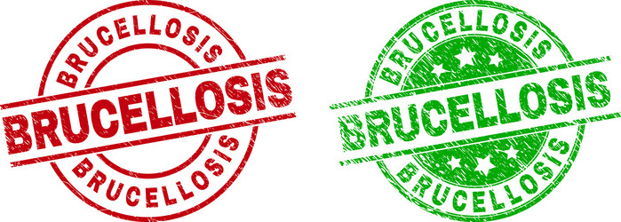 Brucellosis Vector Images (over 200)