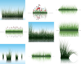 Water Grass Vector Images (over 39,000)