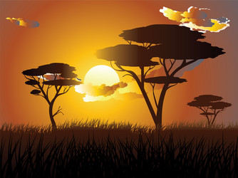 African Sunset Vector Images (over 2,600)