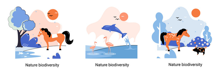 Biodiversity in nature as environment variety Vector Image