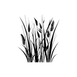 Image of a silhouette reed or bulrush on white Vector Image