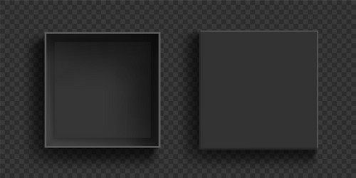 Open black cardboard box illuminated Royalty Free Vector