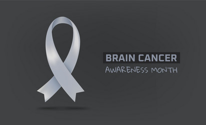 Brain cancer awareness month symbol grey ribbon Vector Image