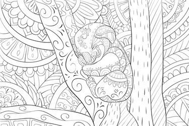 Adult coloring bookpage a cute koala bear Vector Image